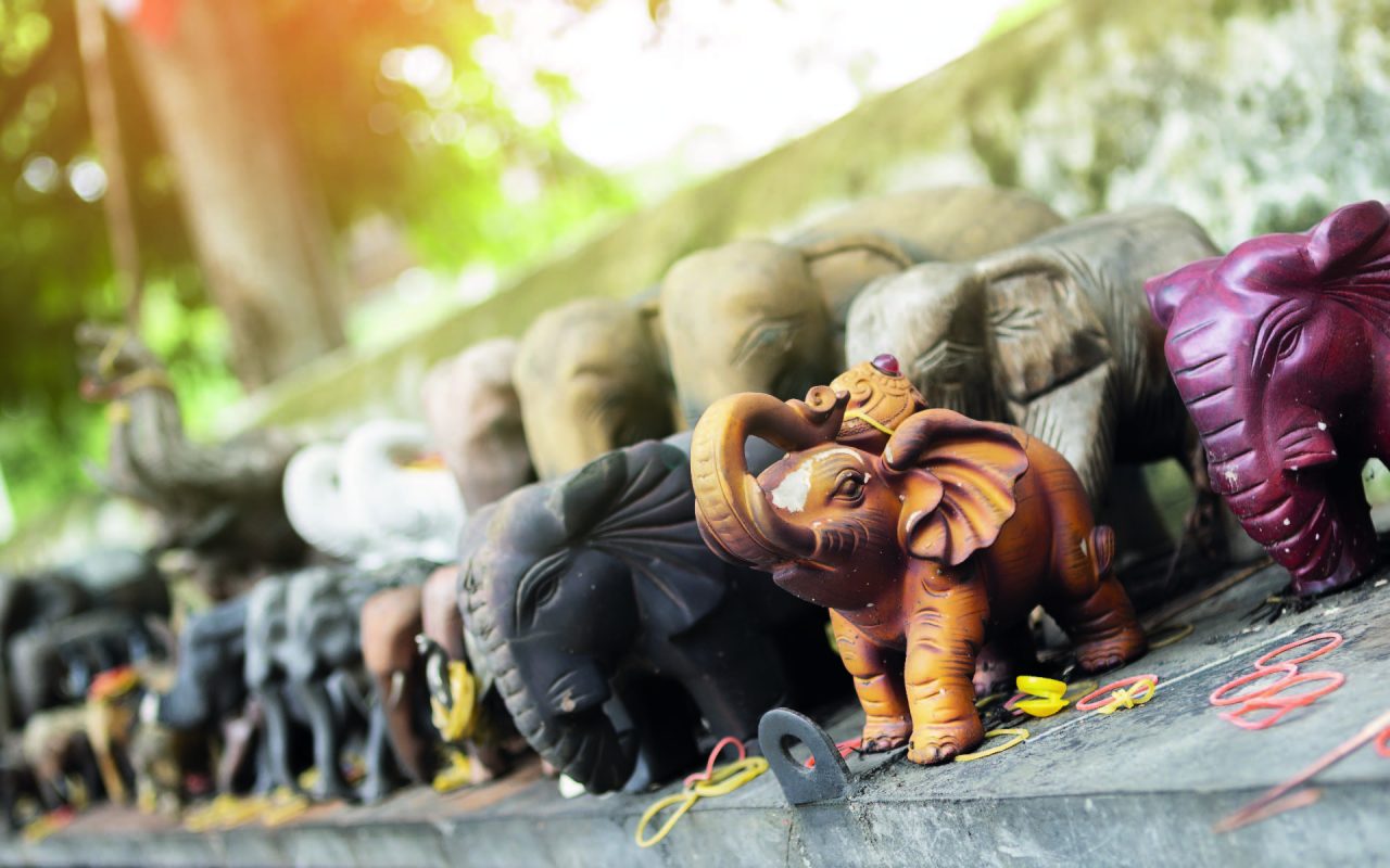 Complexity - The elephant in the payroll room - LACE Partners