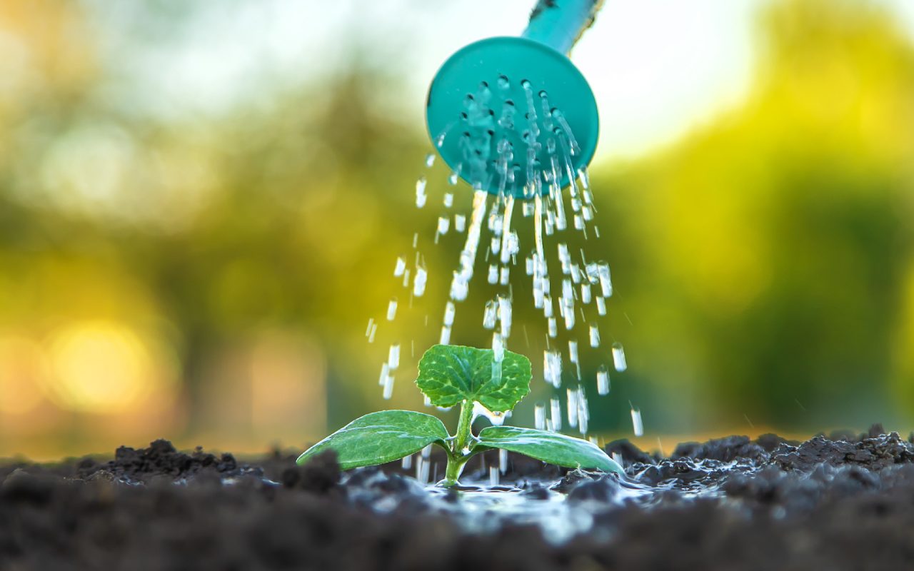 Life @ LACE – Laura Calderbank - LACE Partners