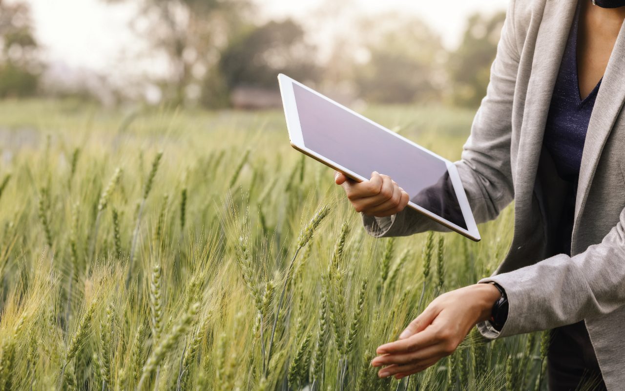 How to ready your data for an HRIS implementation - LACE Partners