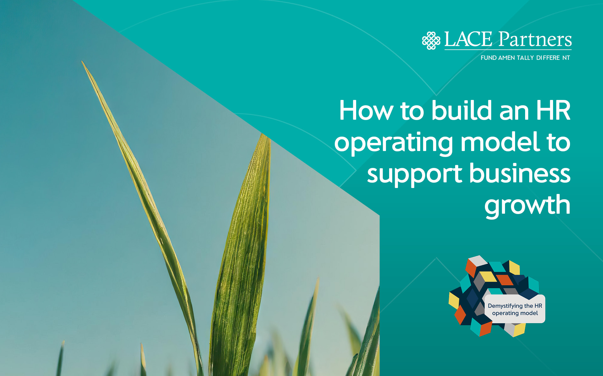 How to build an HR operating model to support business growth - LACE ...